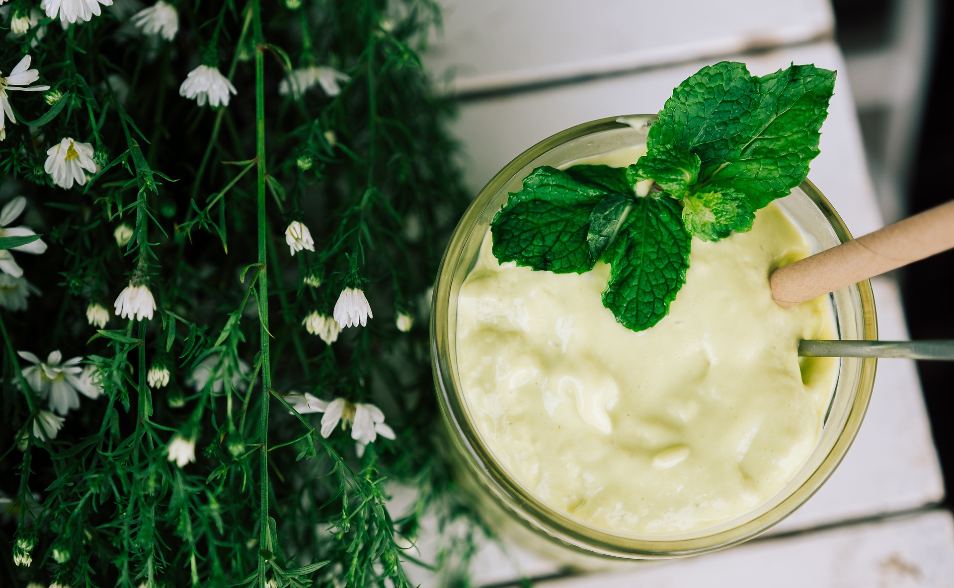 20 Day Rapid Smoothie Diet – Welcome